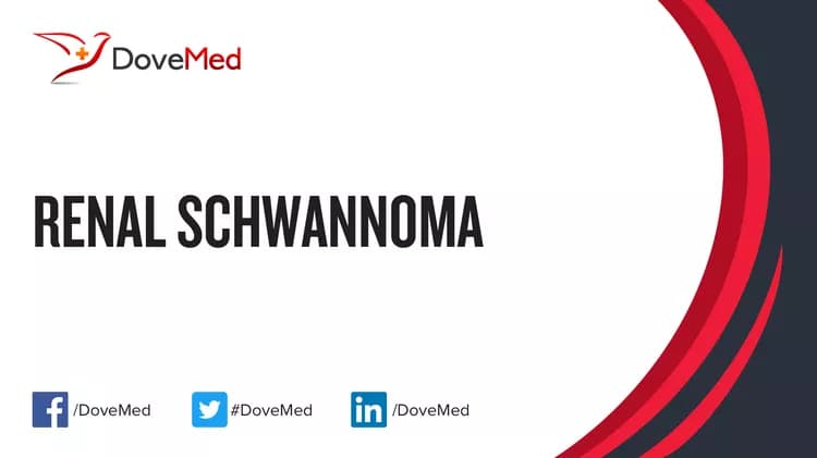 Renal Schwannoma - DoveMed